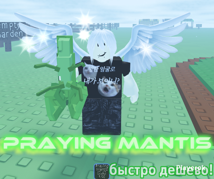 Купить 💚praying mantis богомол💚 Roblox за 150 ₽ - Предметы Roblox