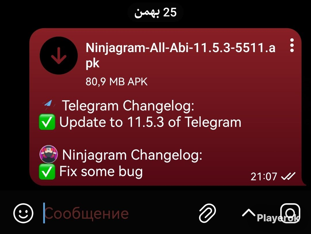 Купить Ninjagram(ultimate)👨‍💻 Telegram за 90 ₽ - Моды Telegram