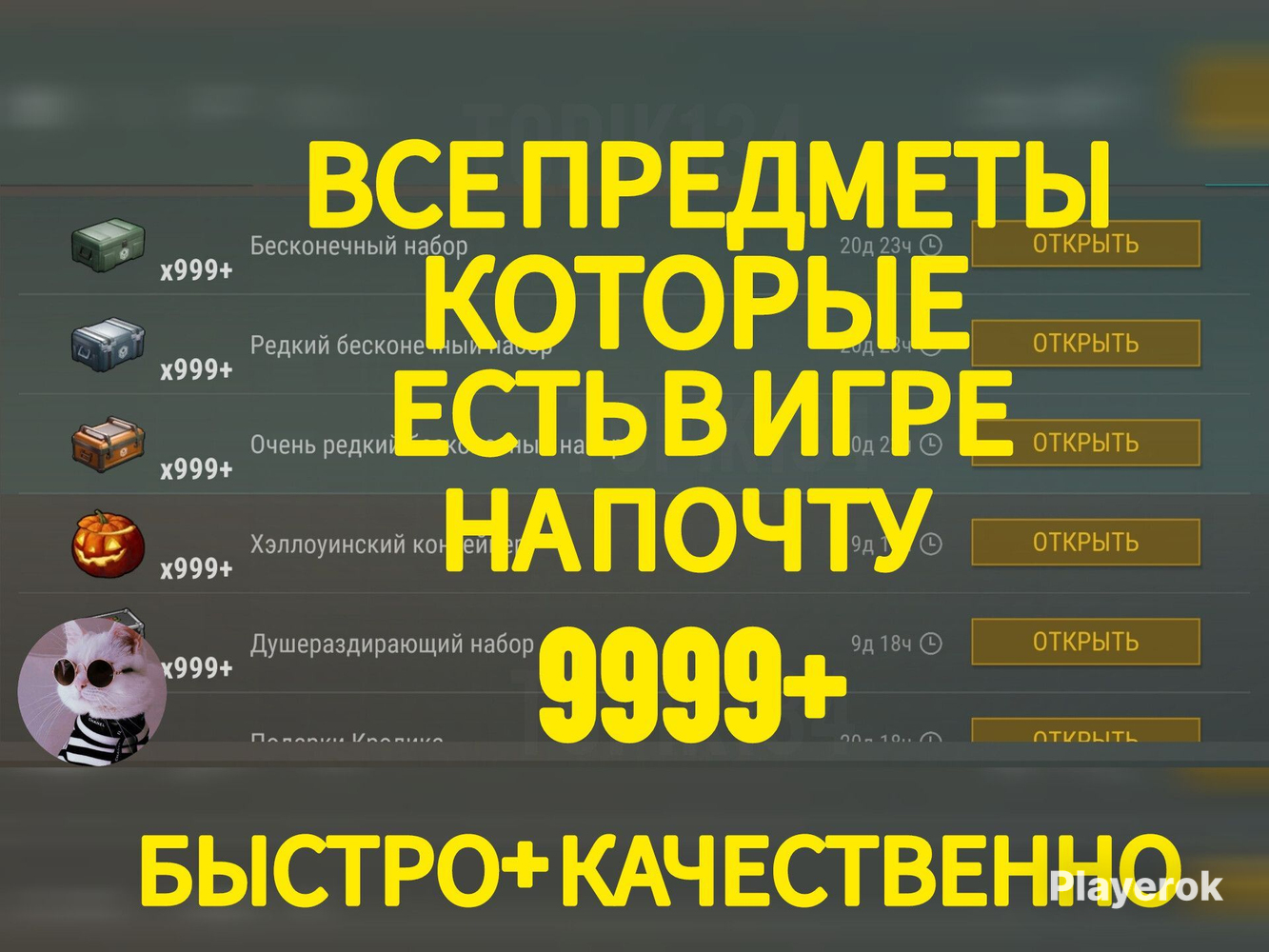 Купить 🔥⭐ПОЛНОСТЬЮ ВСЕ ПРЕДМЕТЫ В ИГРЕ НА ПОЧТУ ПО 9999⭐🔥 LDOE Last Day ...