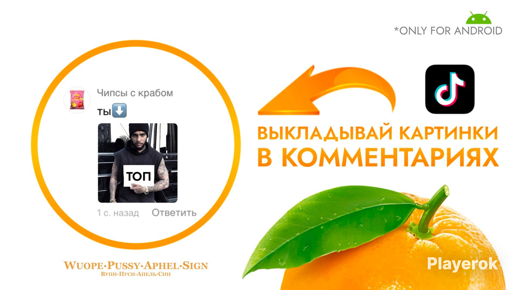 Купить 𝗧𝗜𝗞 𝗧𝗢𝗞 𝗠𝗢𝗗 • с картинками • 𝗔𝗡𝗗𝗥𝗢𝗜𝗗 • автовыдача TikTok за 100 ...