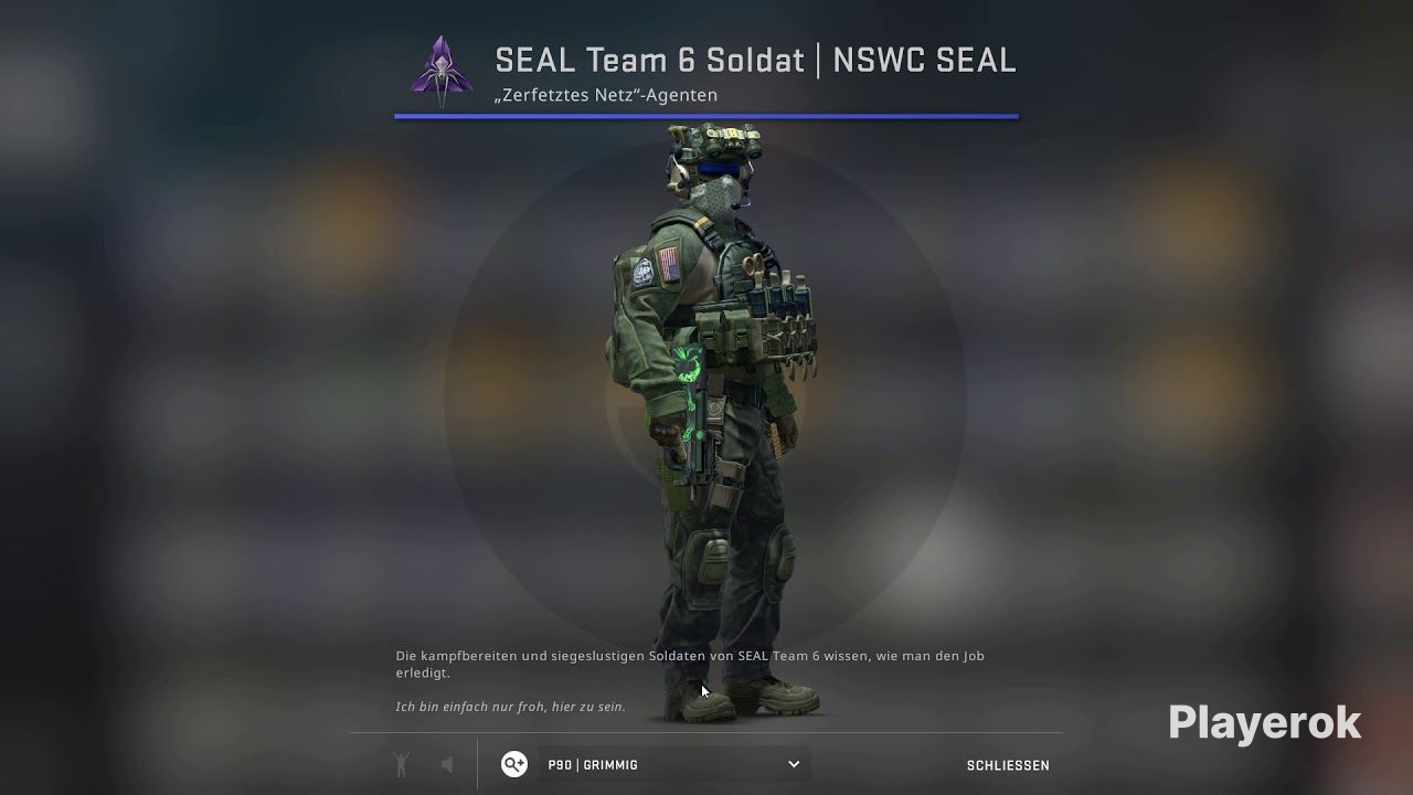 Купить Солдат SEAL Team 6 | NSWC SEAL Counter-Strike 2 за 1 359 ...